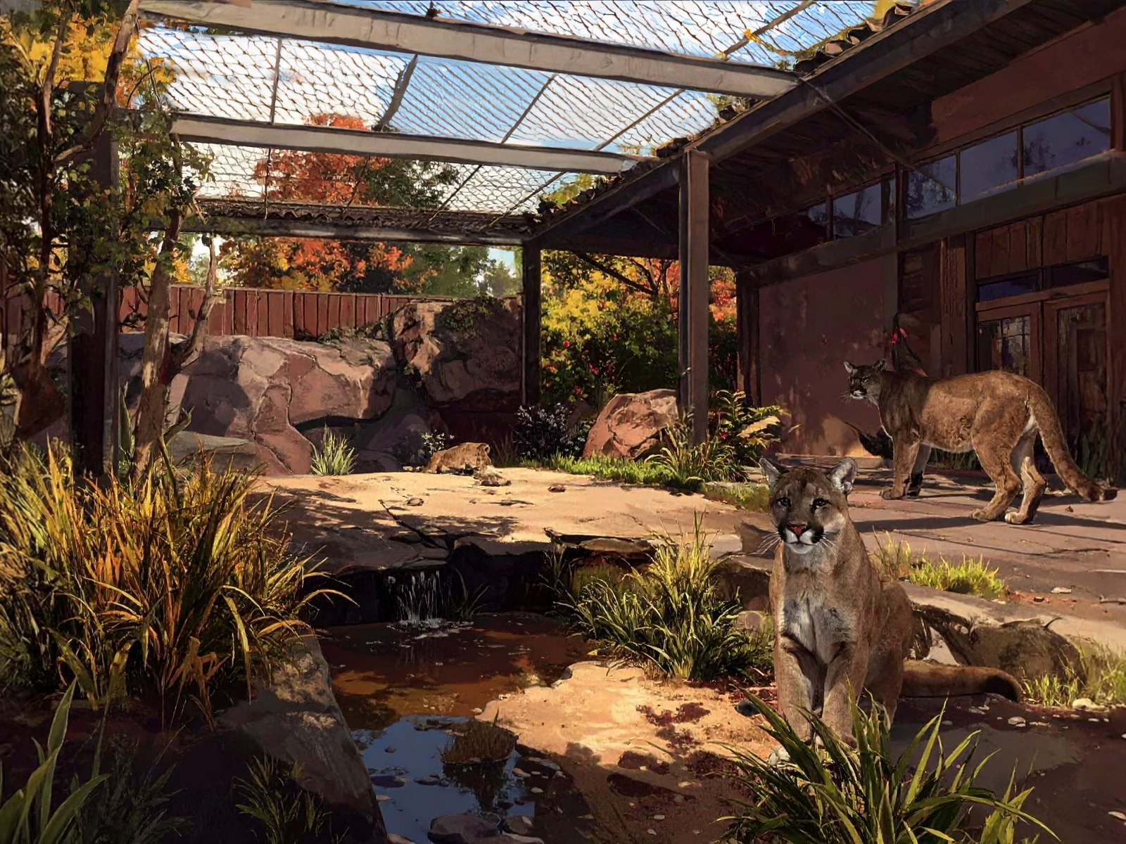 Mountain Lion Habitat Capital Campaign